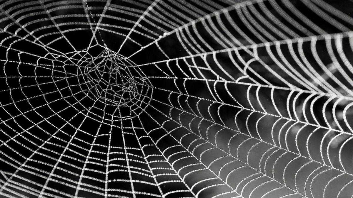 Is Your Strategic Plan Collecting Cobwebs? - Westover Strategy, Inc.